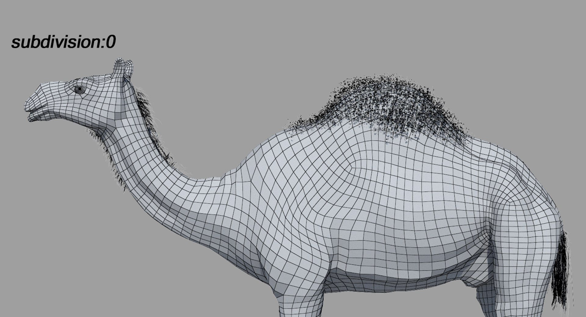 Camel Fur Rig 3D Model | 1147474 | TurboSquid