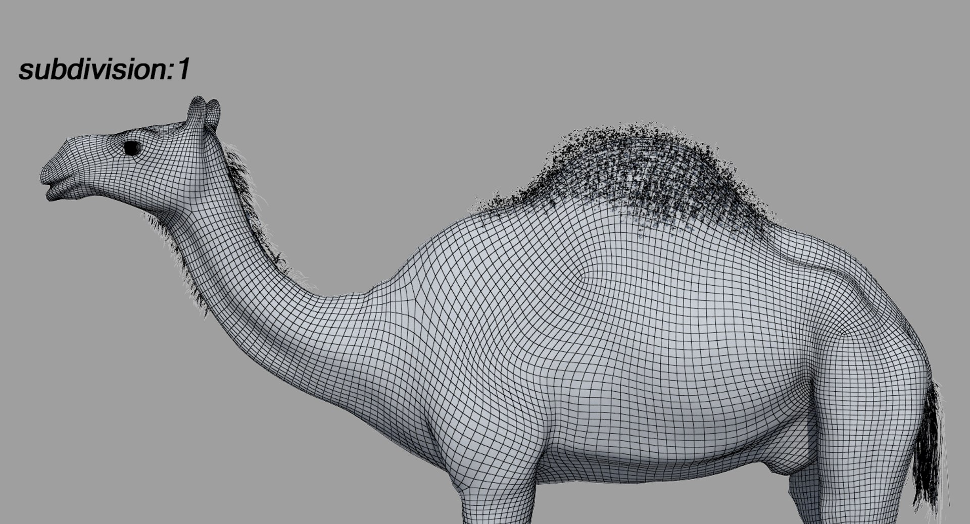 Camel Fur Rig 3D Model | 1147474 | TurboSquid