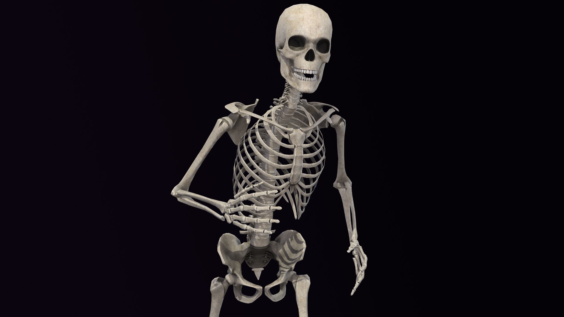 3D Human Skeleton - TurboSquid 2052398