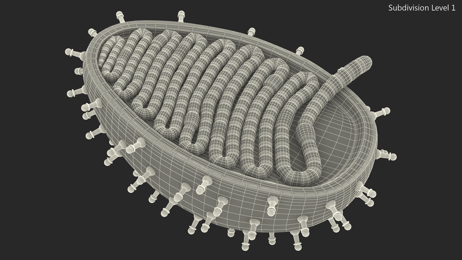 3D Rabies Virus Plastic Model Model - TurboSquid 2386277
