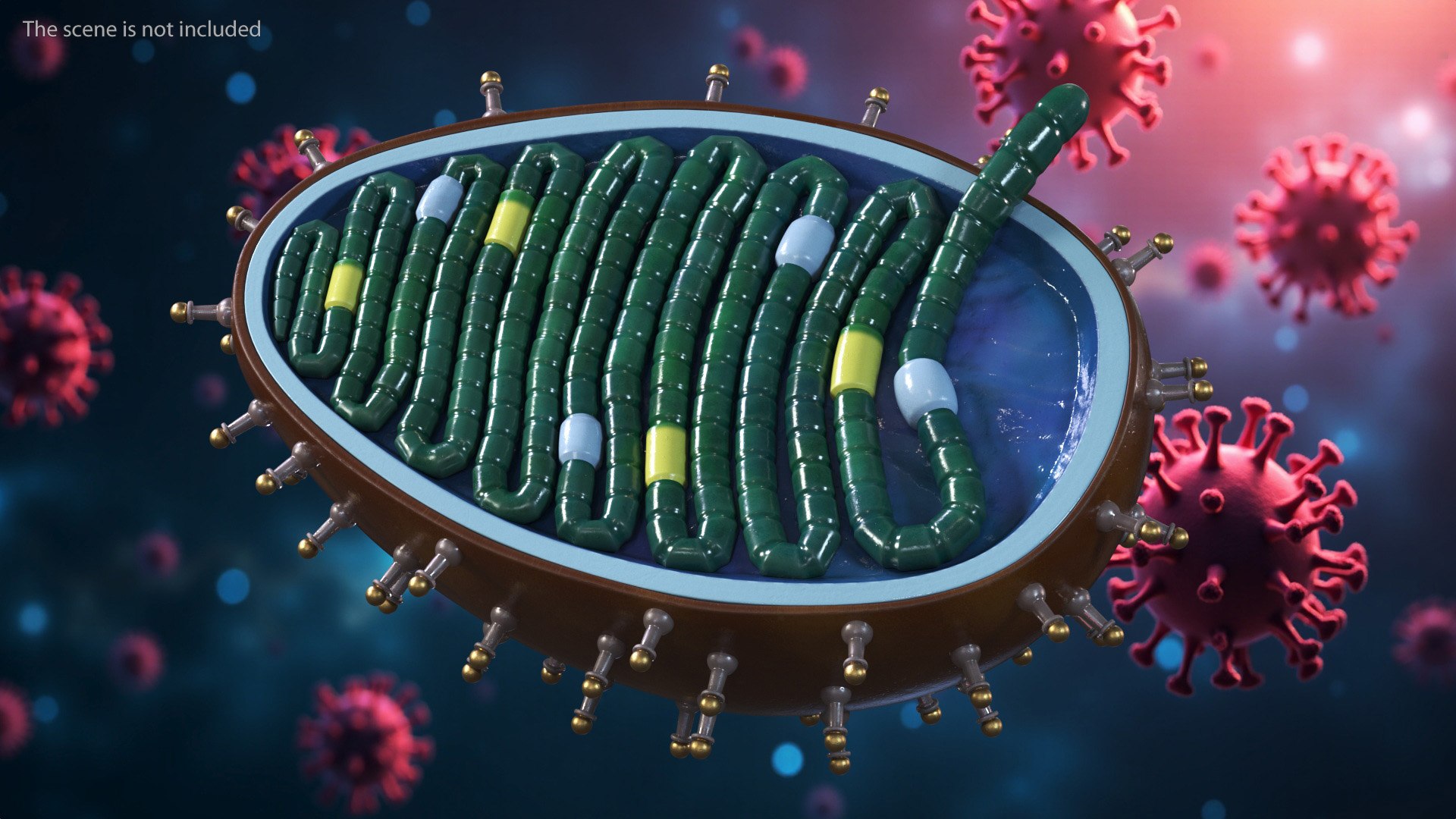 3D Rabies Virus Plastic Model Model - TurboSquid 2386277