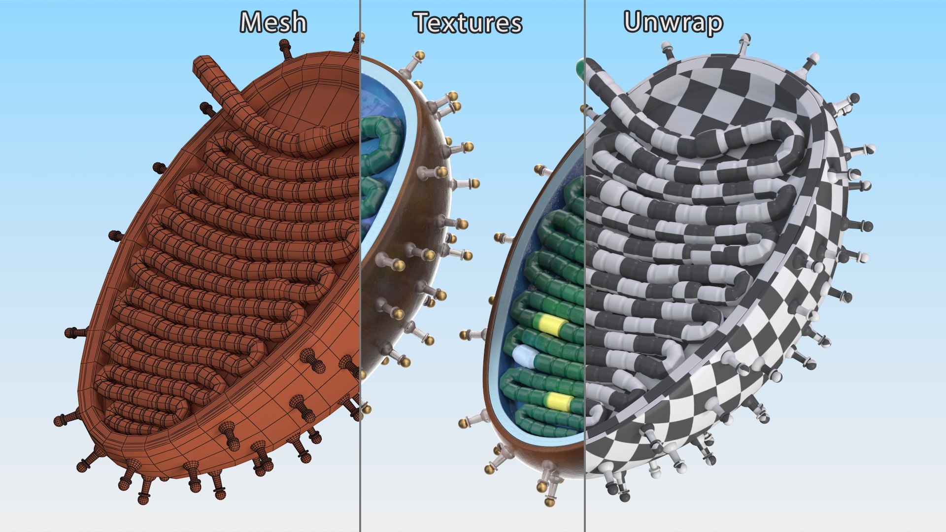 3D Rabies Virus Plastic Model Model - TurboSquid 2386277