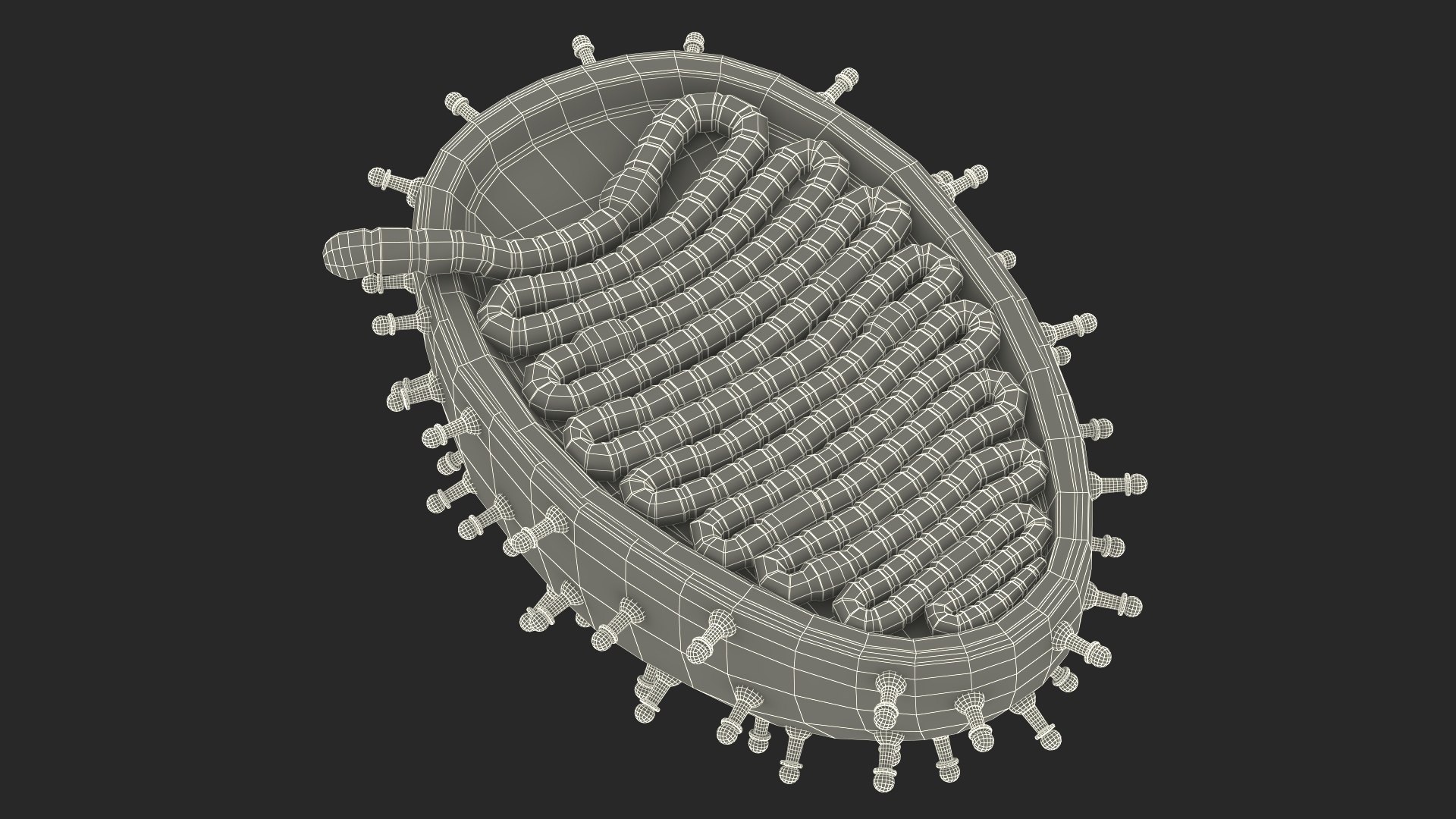 3D Rabies Virus Plastic Model Model - TurboSquid 2386277
