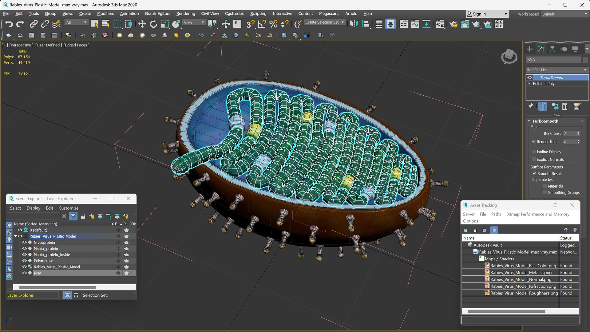 3D Rabies Virus Plastic Model Model - TurboSquid 2386277