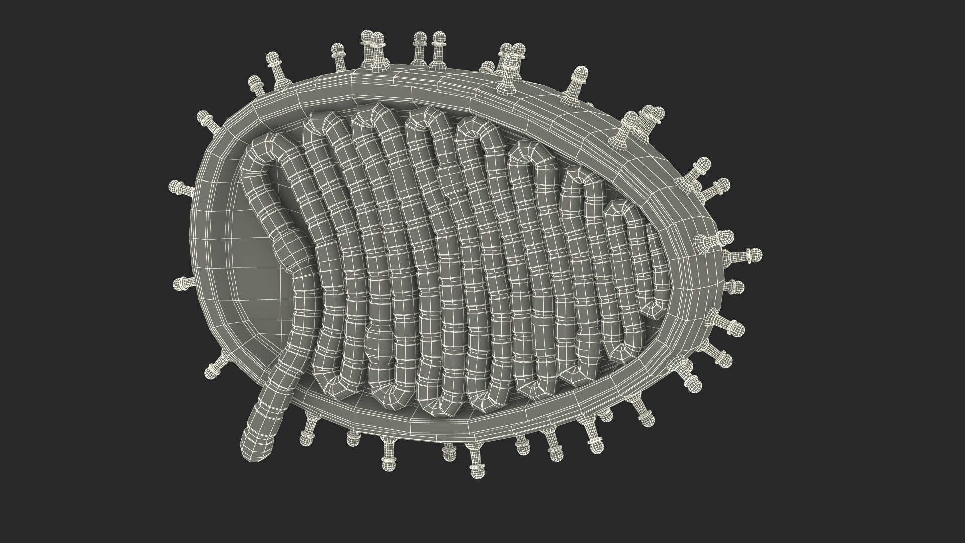 3D Rabies Virus Plastic Model Model - TurboSquid 2386277