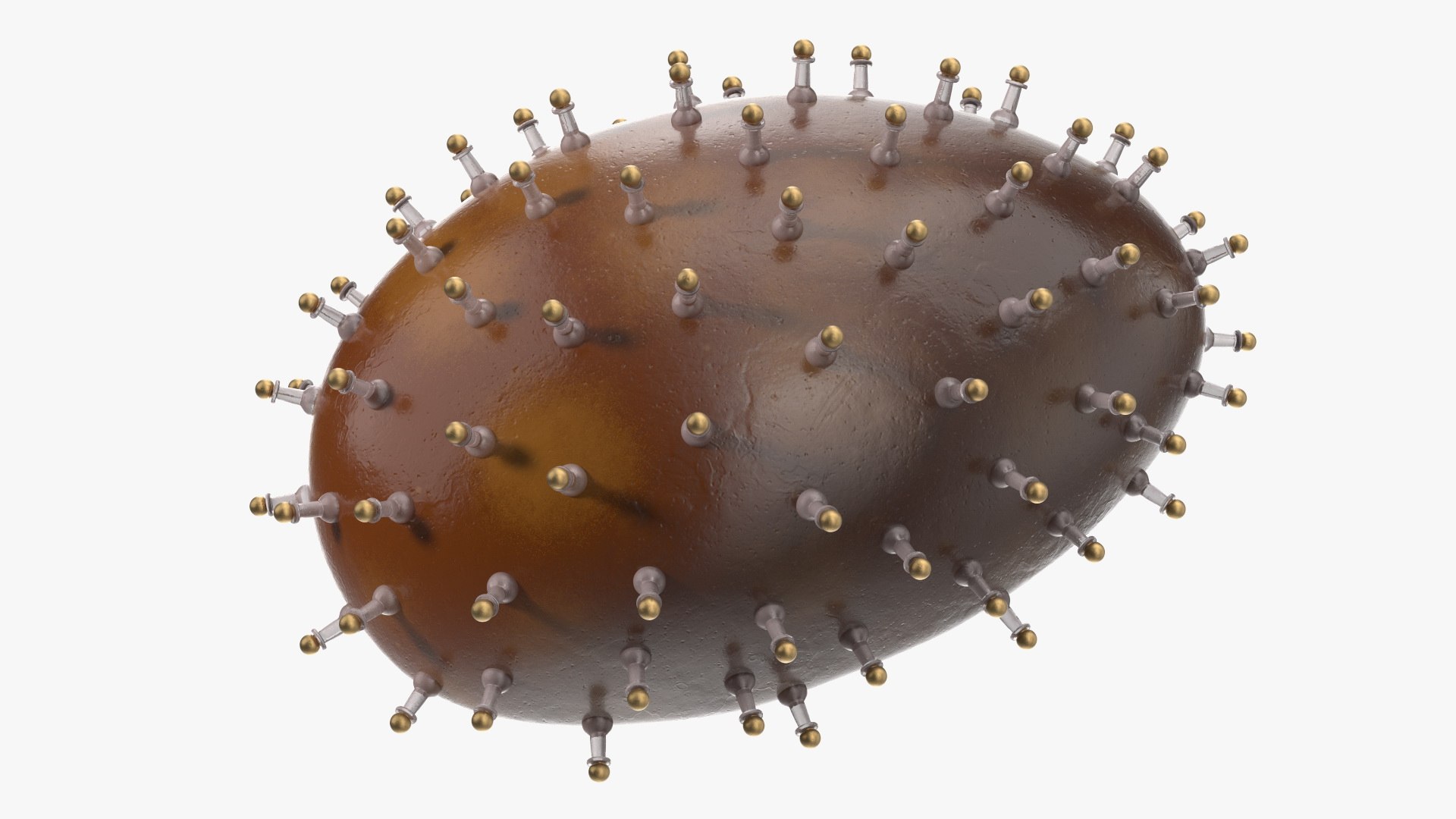 3D Rabies Virus Plastic Model Model - TurboSquid 2386277