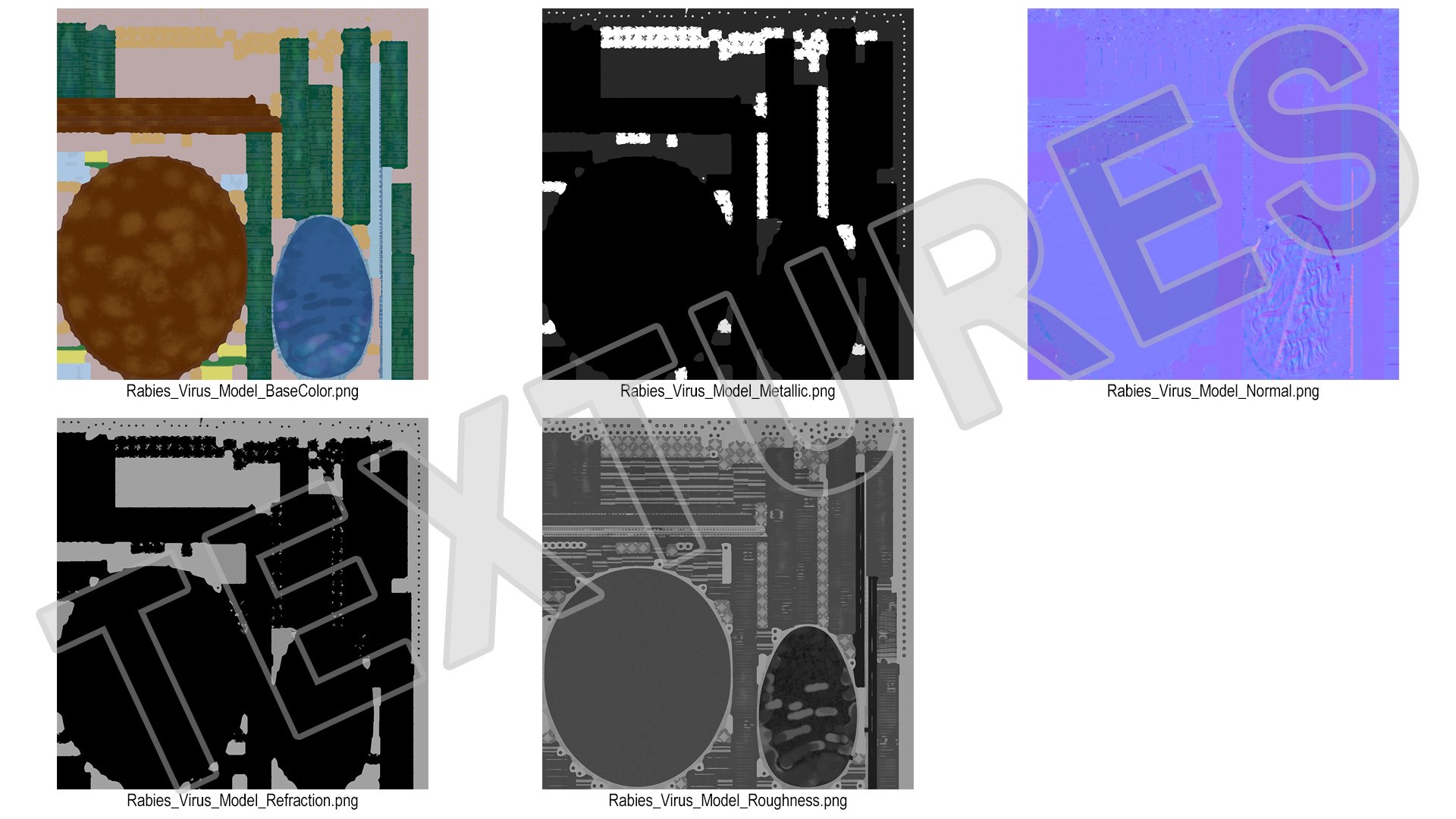 3D Rabies Virus Plastic Model Model - TurboSquid 2386277