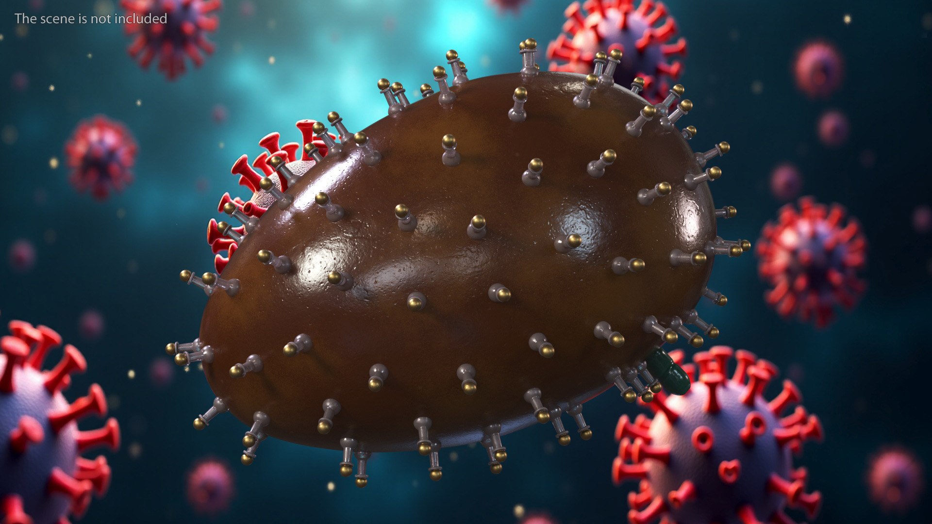 3D Rabies Virus Plastic Model Model - TurboSquid 2386277