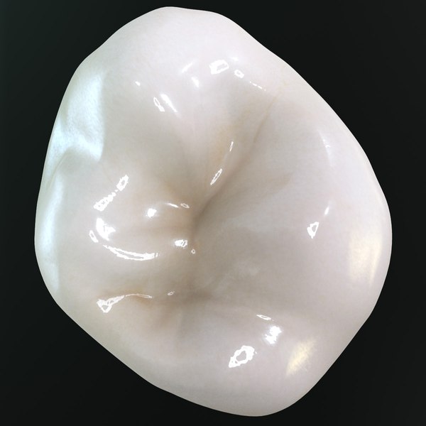tooth upper molar wisdom 3d model