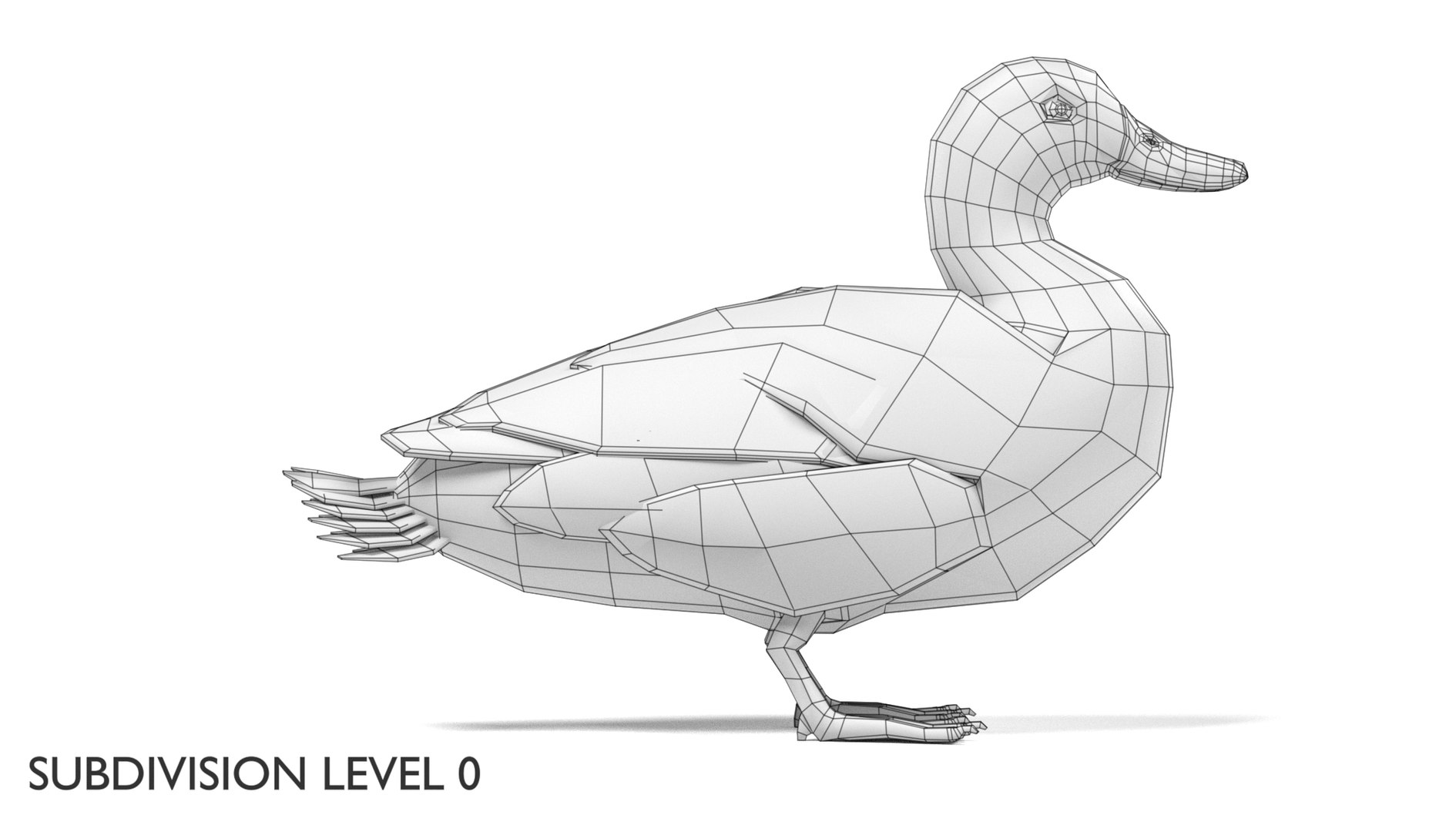 3D Wild Duck Female Model - TurboSquid 1160712