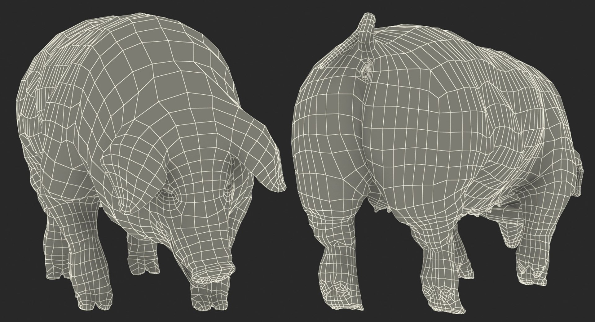 Pig Sow Peitrain Standing 3D Model - TurboSquid 1357950