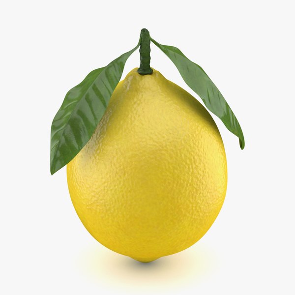 Lemon Blender Models for Download | TurboSquid