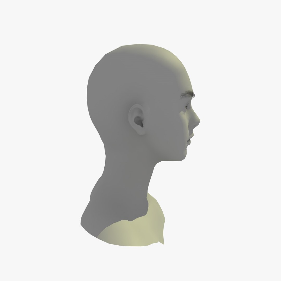 3d realistic head base mesh model