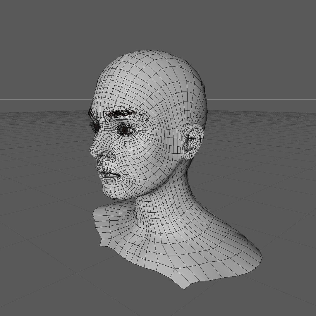 3d realistic head base mesh model
