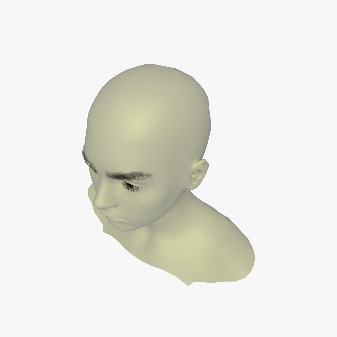 3d realistic head base mesh model