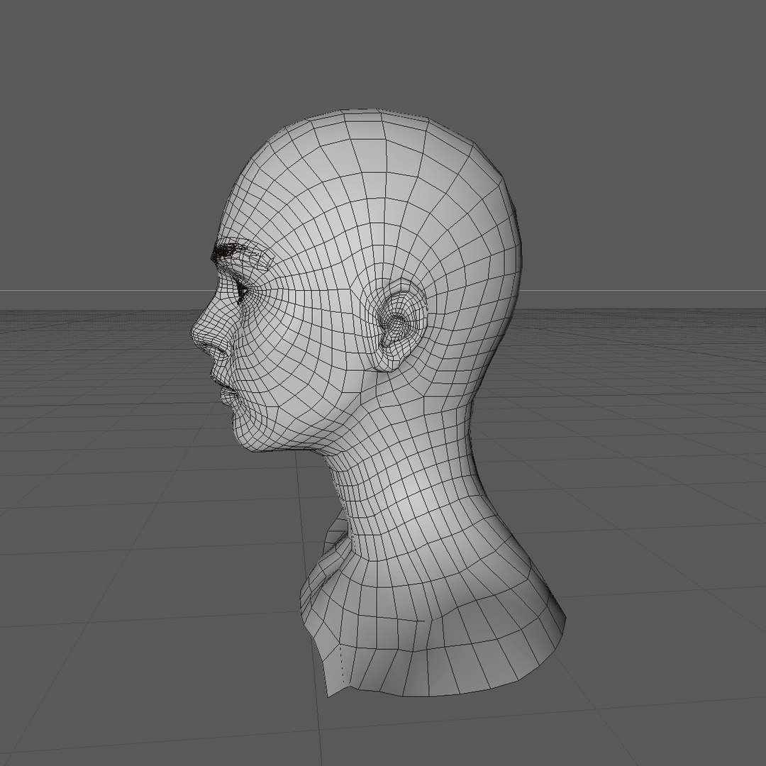 3d realistic head base mesh model