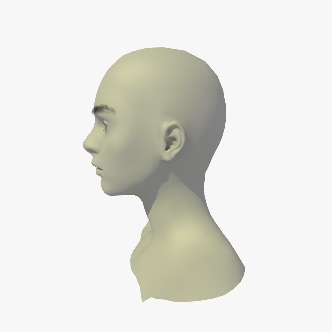 3d realistic head base mesh model