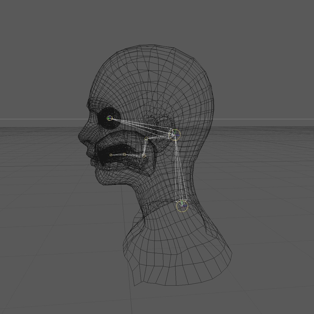 3d realistic head base mesh model
