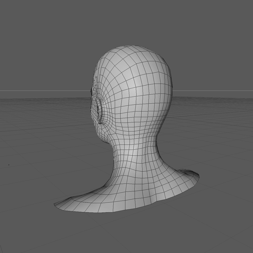 3d realistic head base mesh model