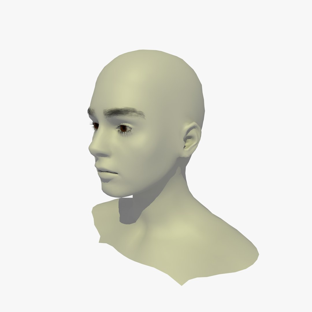 3d realistic head base mesh model