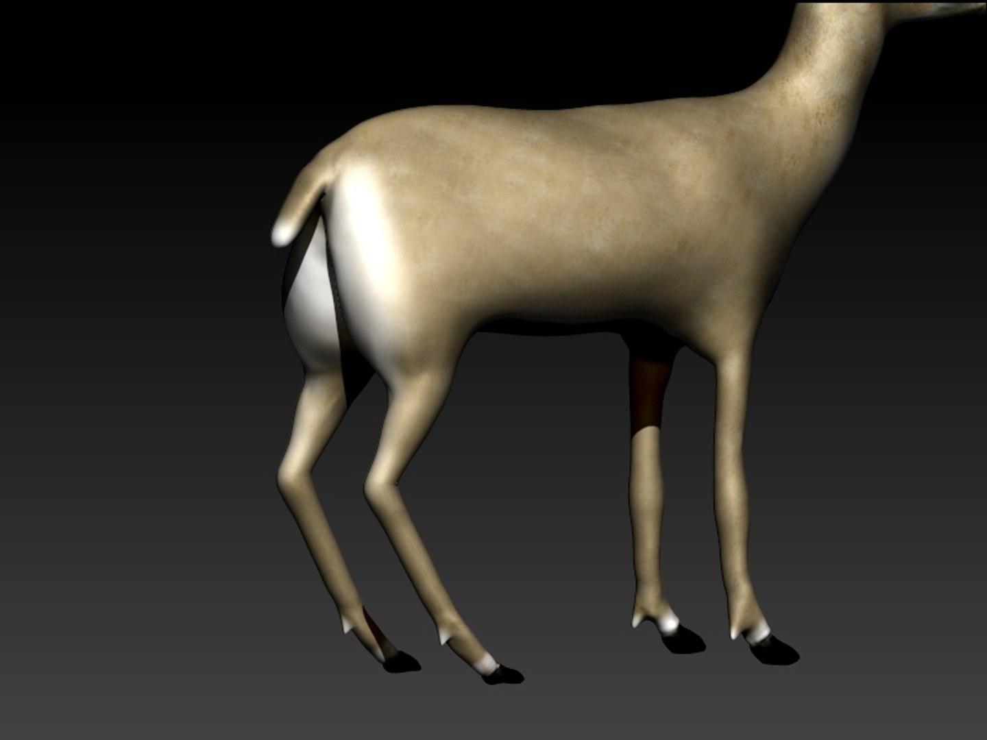 Deer 3d Model