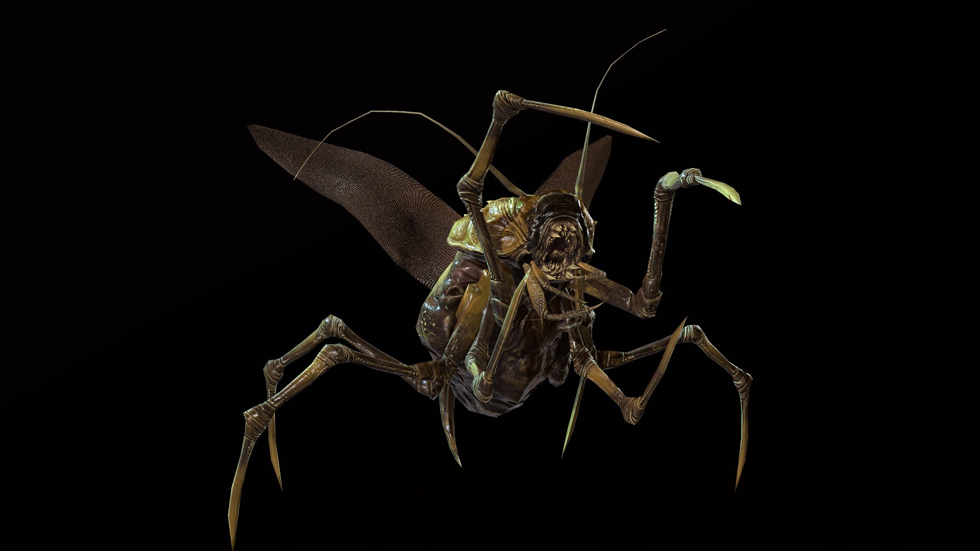 3D Character Land Bug - TurboSquid 1617090