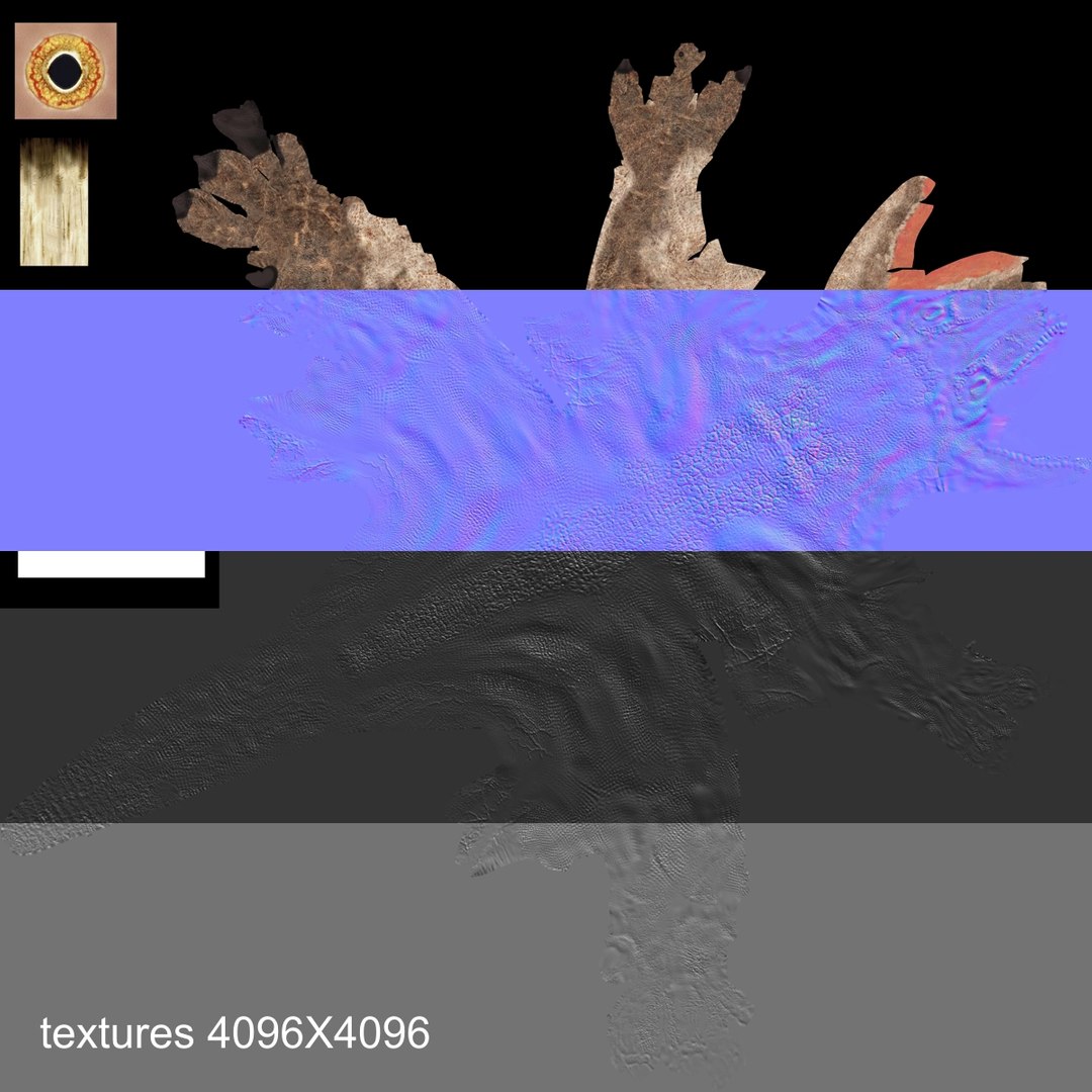 3d Raptor Velociraptor Dino Model