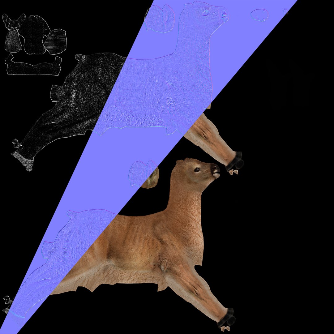 3D Roe Deer Female - Model - TurboSquid 1301463