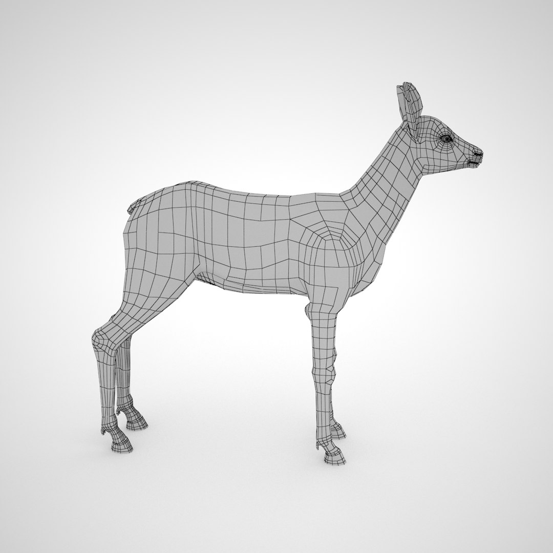 3D Roe Deer Female - Model - TurboSquid 1301463