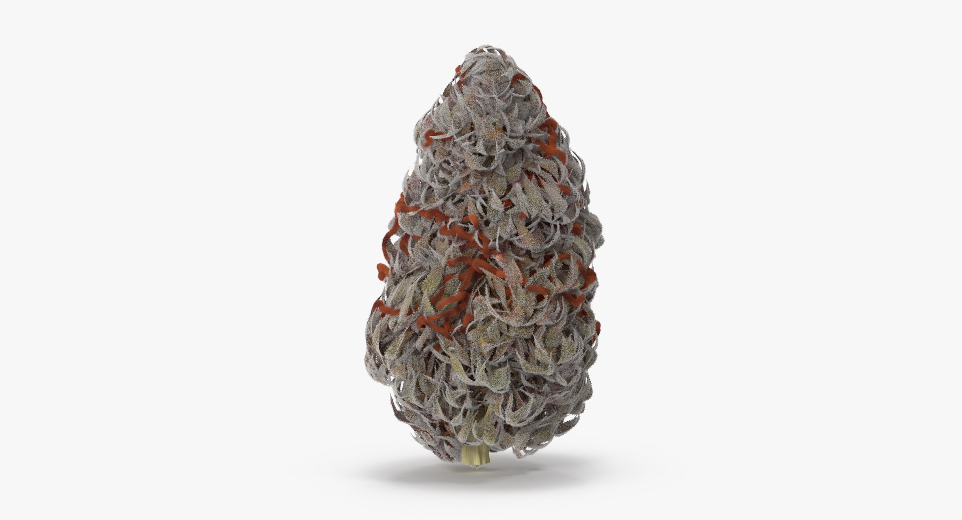 3d Marijuana Bud 02 Model