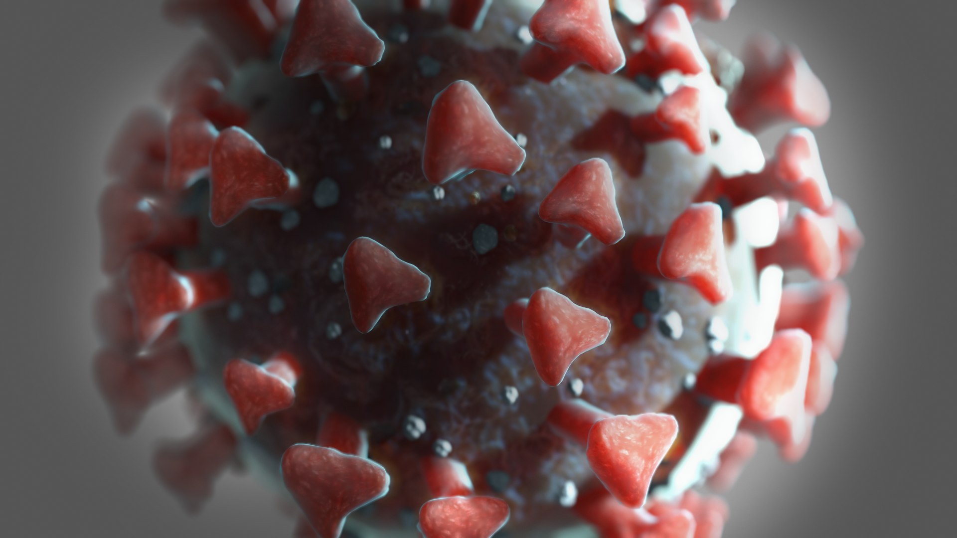 3D Model Coronavirus Covid19 Real Virus - TurboSquid 1545192