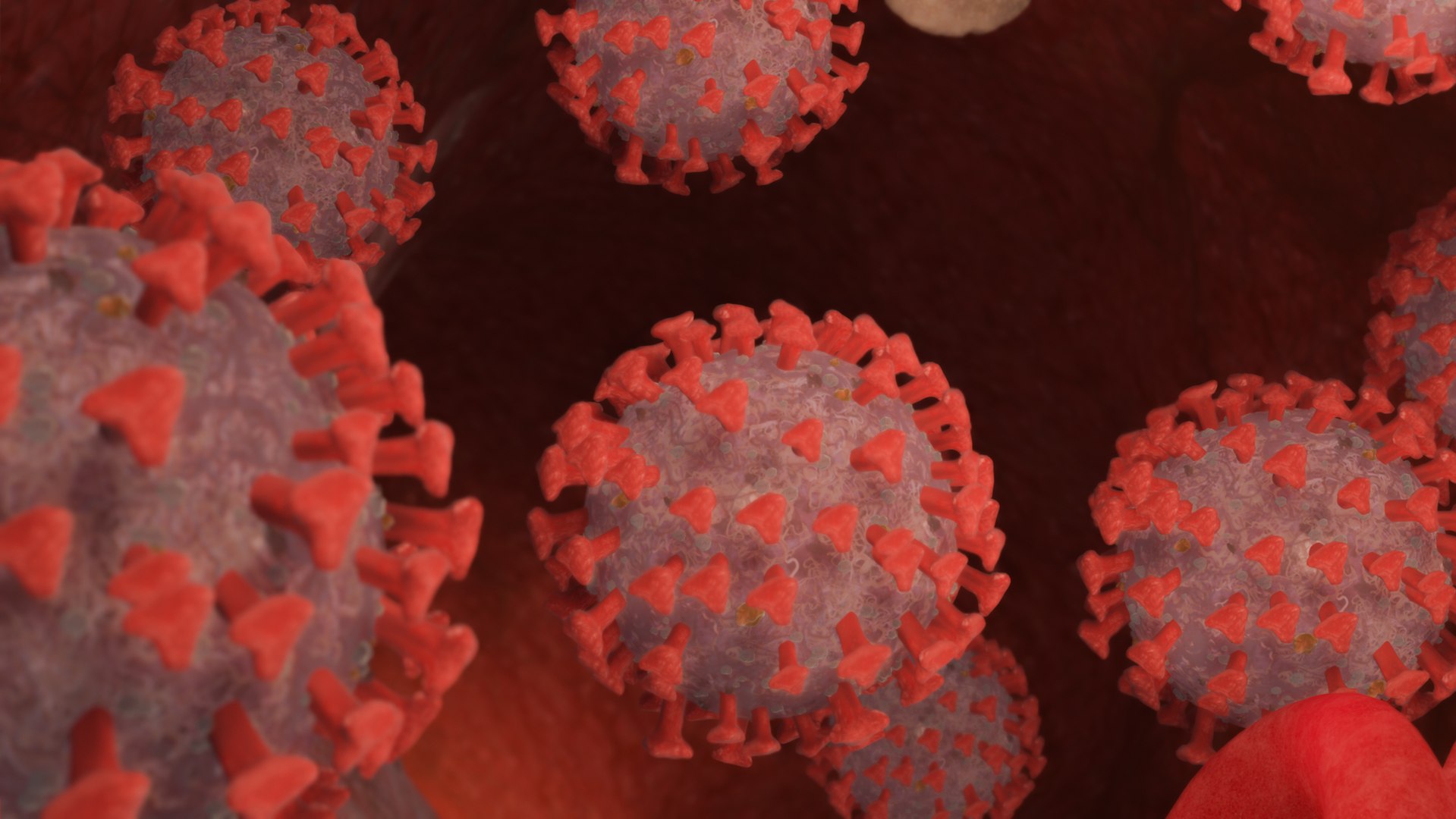 3D Model Coronavirus Covid19 Real Virus - TurboSquid 1545192