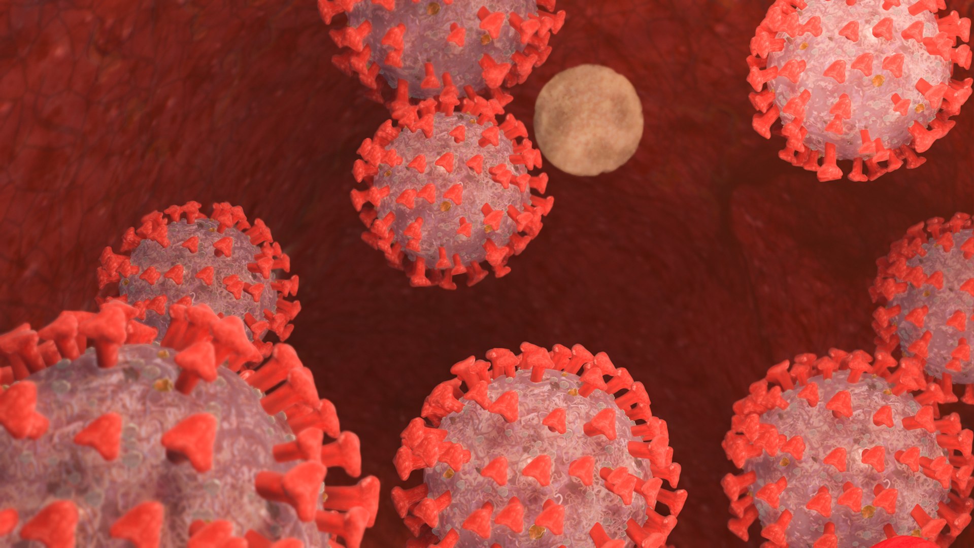 3D Model Coronavirus Covid19 Real Virus - TurboSquid 1545192