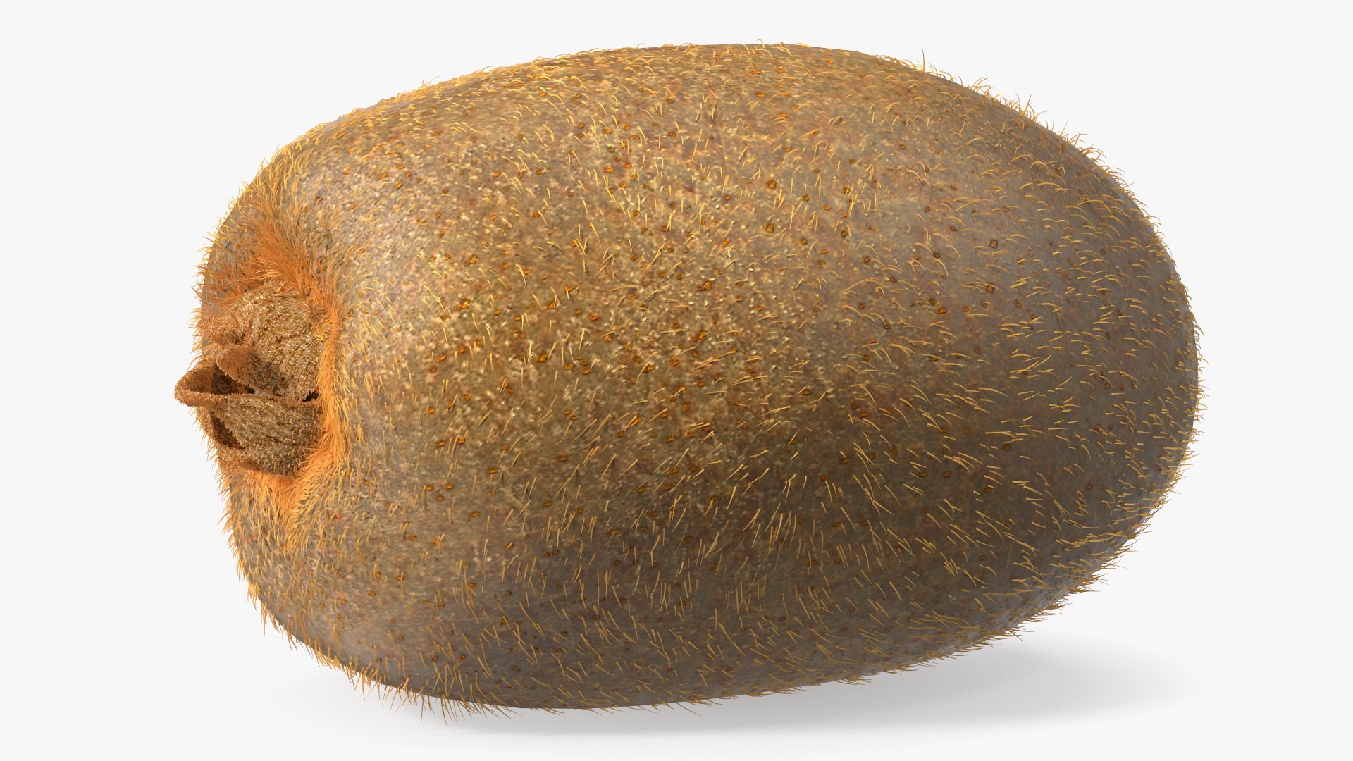 3D Tropical Fruit Kiwi with Fur model - TurboSquid 2105591