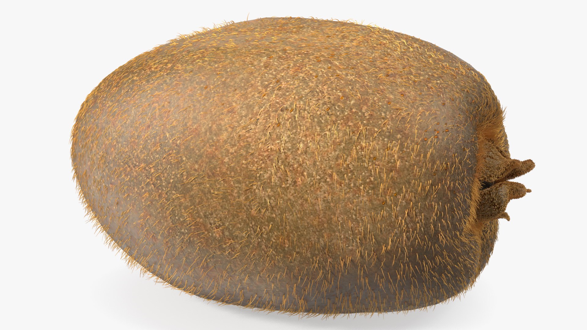 3D Tropical Fruit Kiwi With Fur Model - TurboSquid 2105591