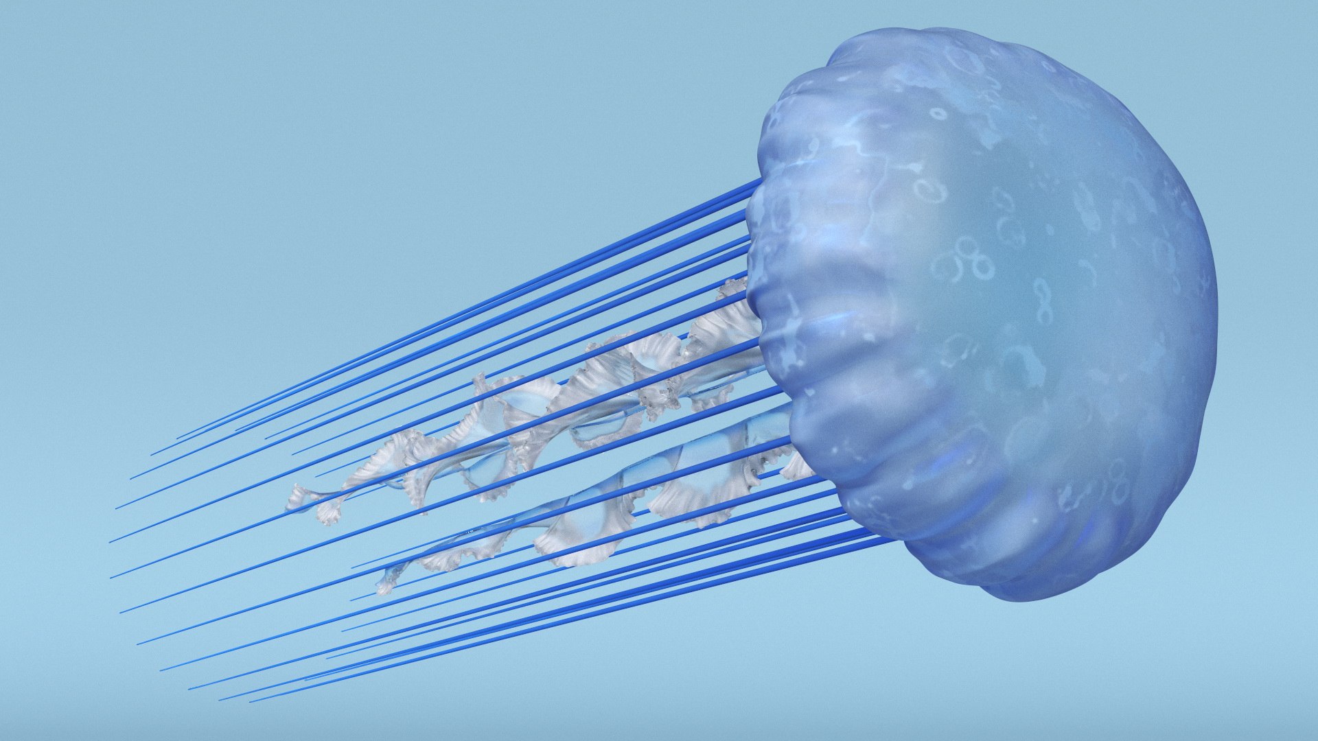 3D Electric Blue Jellyfish Rigged - TurboSquid 2385962