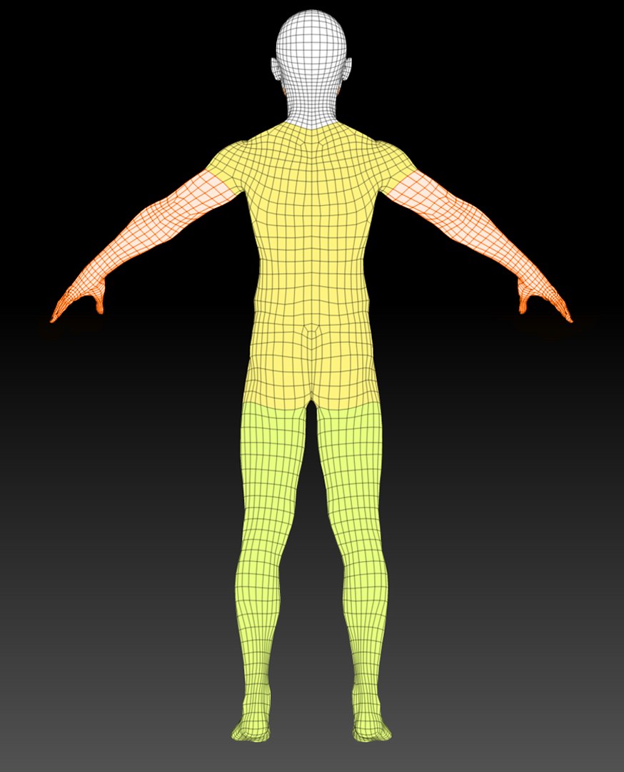 3D Human Asian Body Anatomy - TurboSquid 1595273