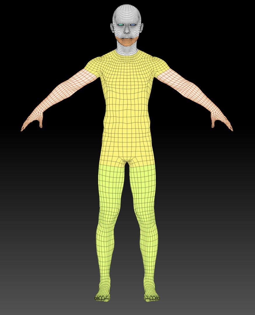 3D Human Asian Body Anatomy - TurboSquid 1595273