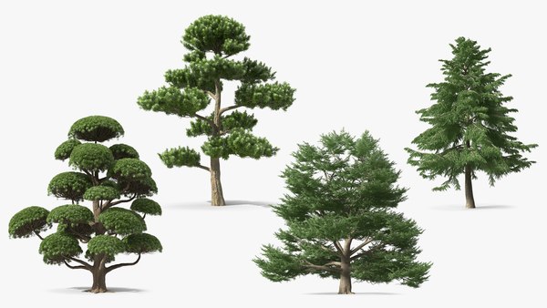 3D Evergreen Trees Collection model - TurboSquid 1815542