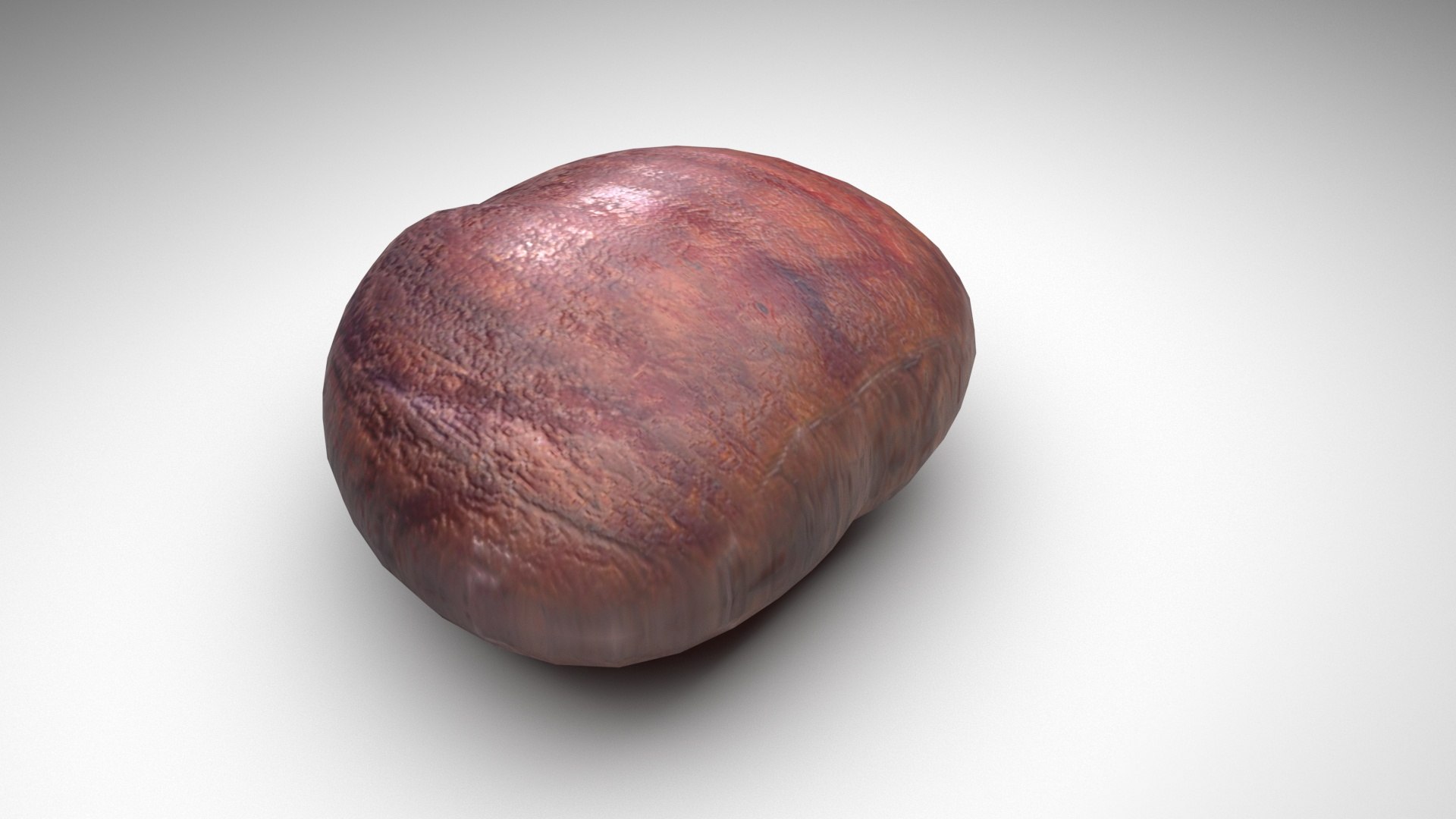 Chestnut Seed 3D Model - TurboSquid 1851298