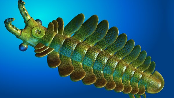 Anomalocaris hallucigenia wiwaxia 3D - TurboSquid 1577269