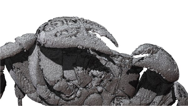 3D model Crab CT scan - TurboSquid 1775100