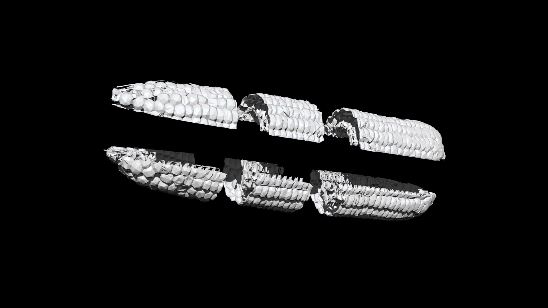 Corn 3D CT Scan Model Cut3 Decimate 3 Percent 3D Model - TurboSquid 1945276