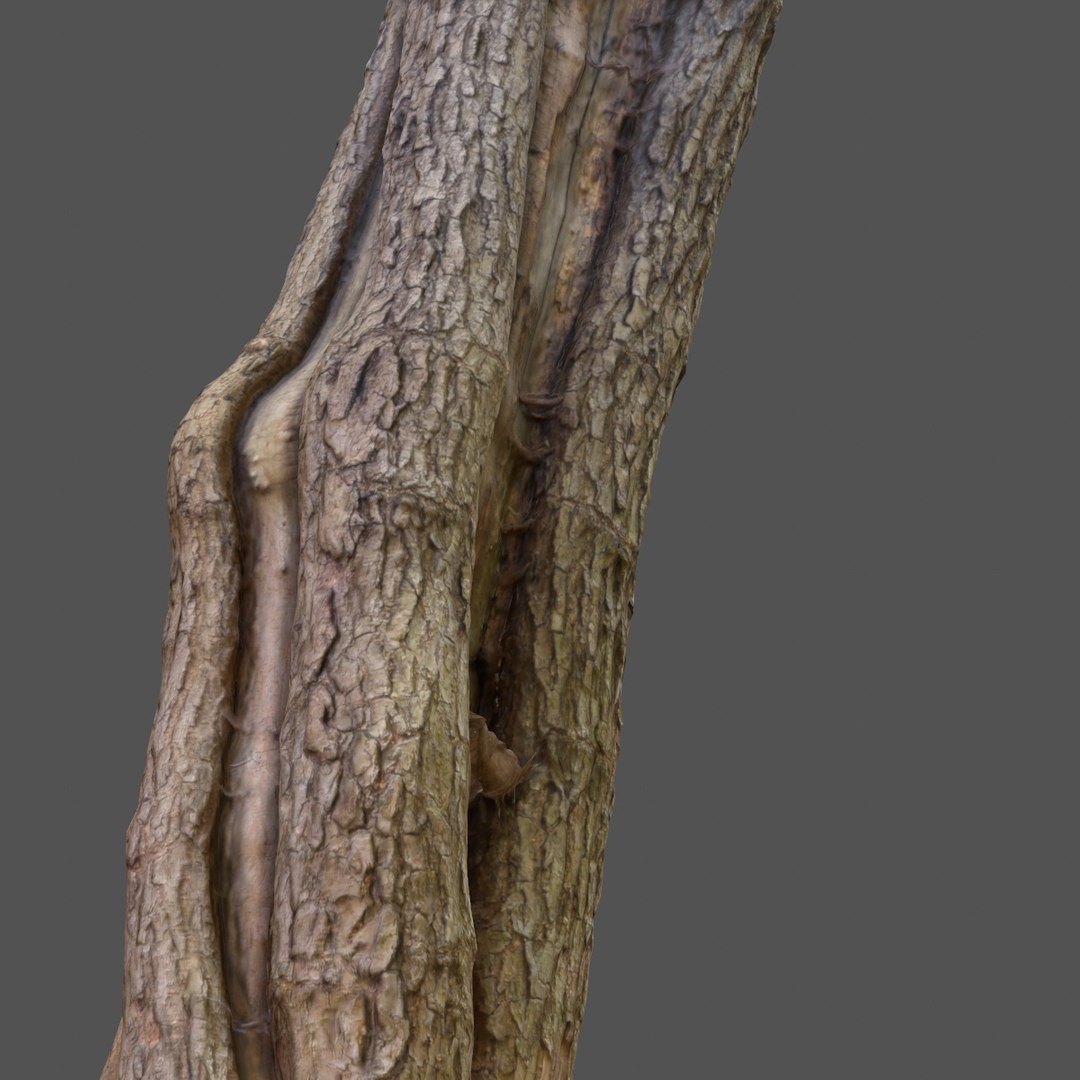 Tree Asset Obj