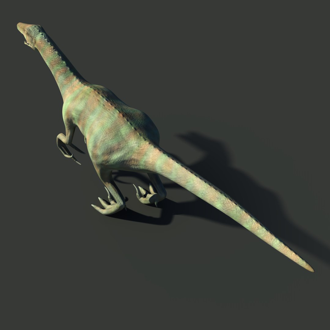 dinosaur adasaurus velociraptor 3d model