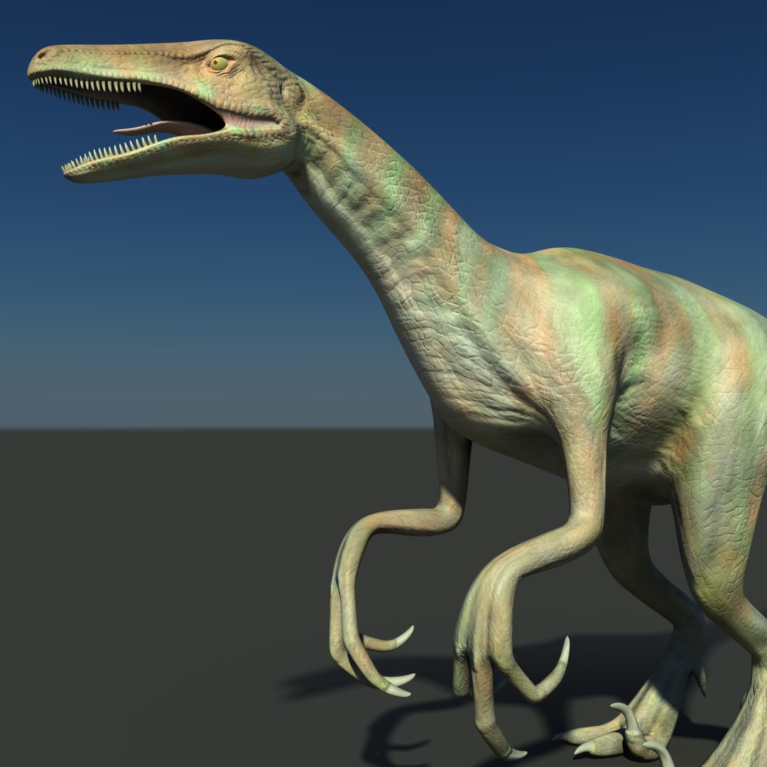 dinosaur adasaurus velociraptor 3d model