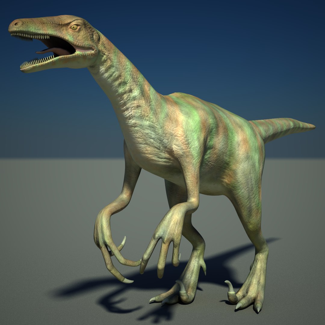dinosaur adasaurus velociraptor 3d model