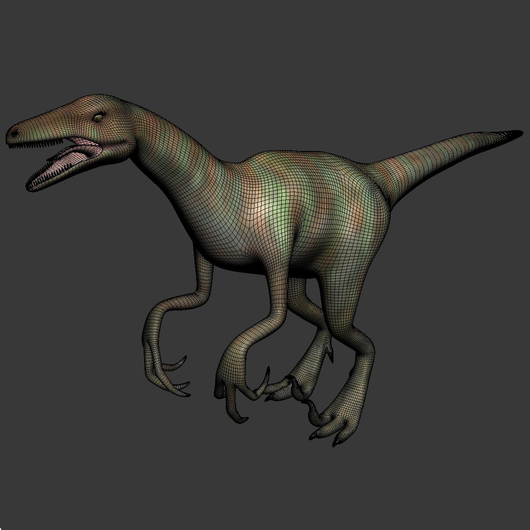 dinosaur adasaurus velociraptor 3d model