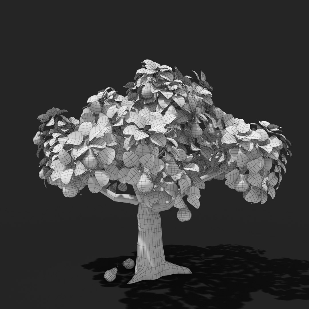 3d Pear Tree Model