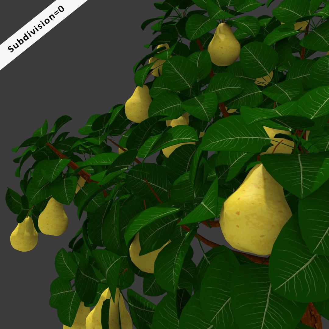 3d pear tree model
